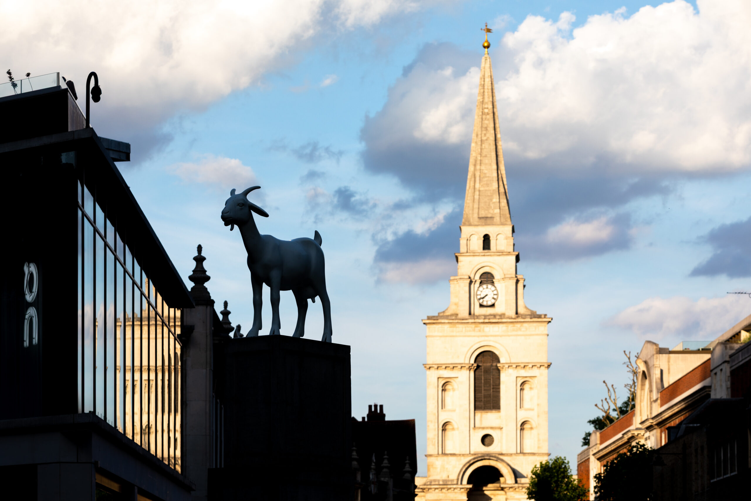Spitalfields Spotlight | What's On | Spitalfields Market E1